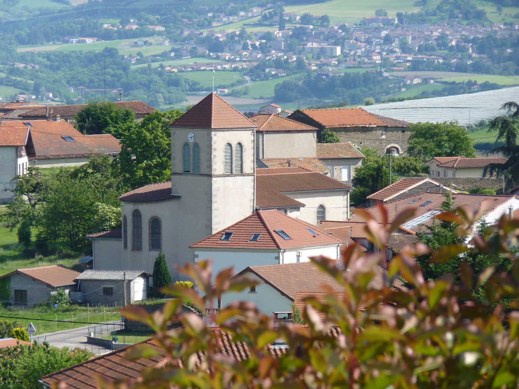 Saint François d'Assise - LA CULA - Paroisse Ste Marie-Madeleine en ...